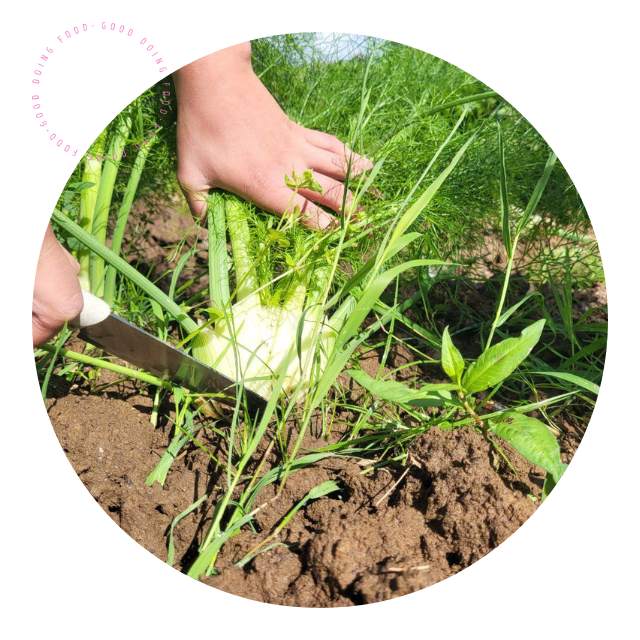 Vitam | Good Doing Food