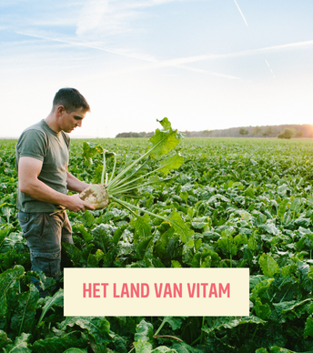Vitam | Good Doing Food