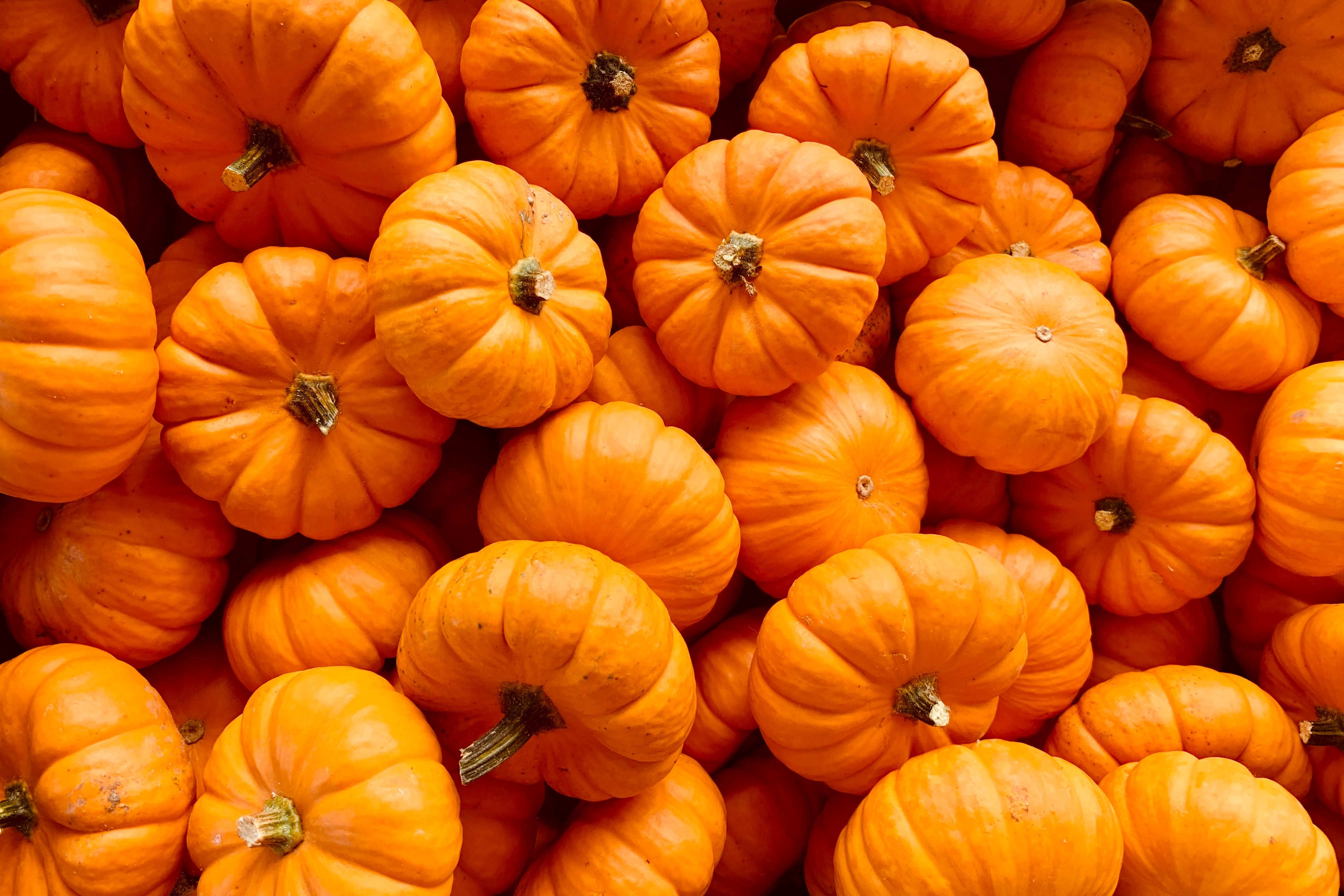 Pompoen, zeker doen! (+ recept)